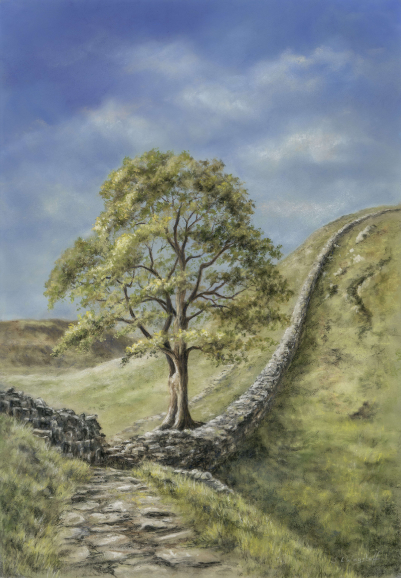 Gallery 2 - Hand Drawn, pencil and pastel art by Sharon Wagstaff